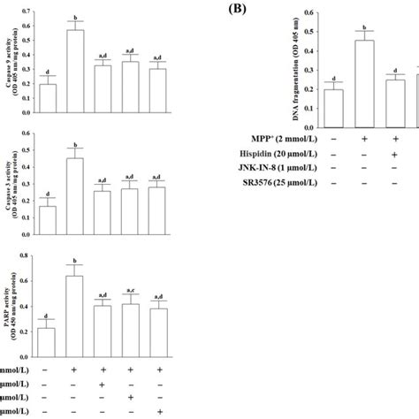 Hispidin Reduces Caspase Mediated Apoptosis Induced By Mpp⁺ Ms235 Download Scientific Diagram