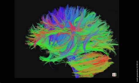 About The Ees Extended Evolutionary Synthesis