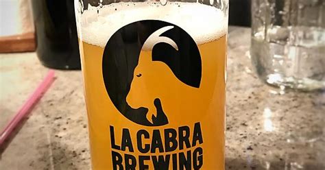 Hipster Catnip Album On Imgur