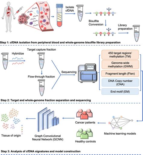 New Multi Cancer Screening Tool Can Detect Tumour Location And Stage