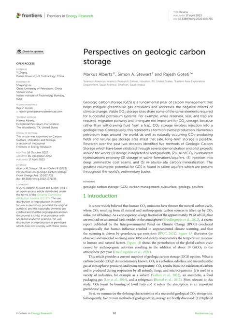 Pdf Perspectives On Geologic Carbon Storage