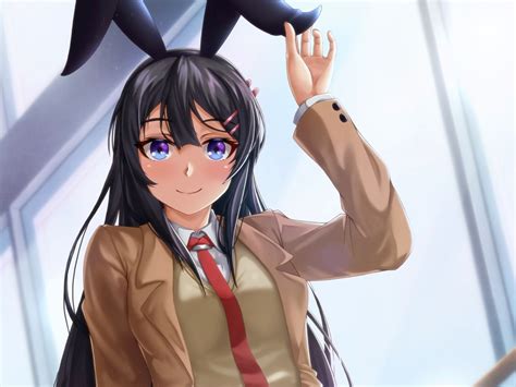 Mai Sakurajima Hd Wallpaper Rascal Does Not Dream Of Bunny Girl