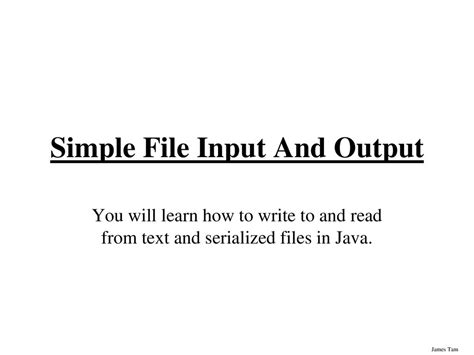 Simple File Input And Output Ppt Download