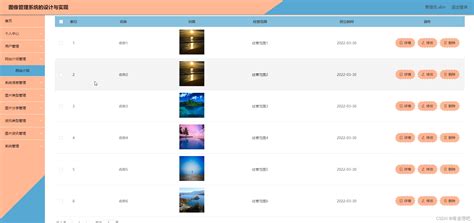 springboot毕设项目图像管理系统的设计与实现50arrjava VUE Mybatis Maven Mysql spring