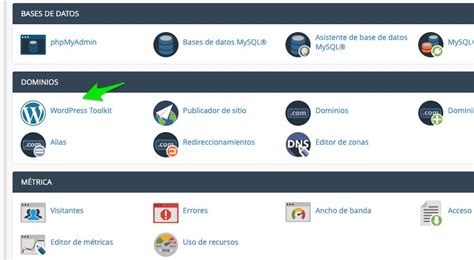 Actualizar Wordpress Con Wordpress Tool Kit De Luxe