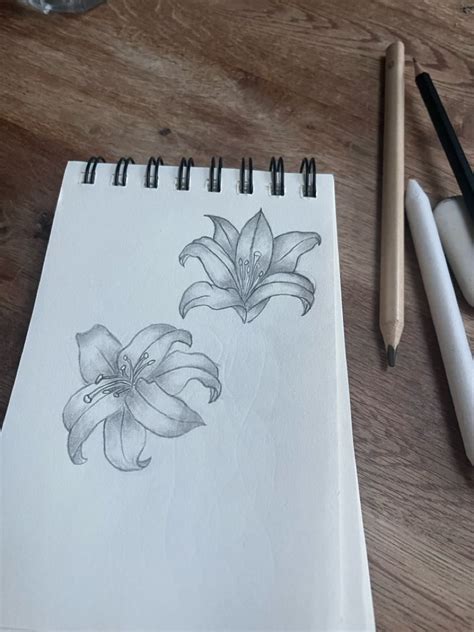 Learn How To Draw A Lily Step By Step Tutorial