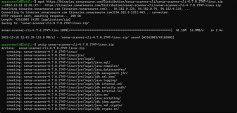 Static Application Security Testing Using Sonarqube
