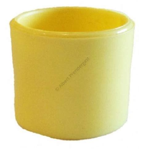 Cub Scout Woggle Albert Prendergast