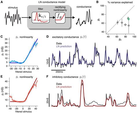 Inferring Synaptic Inputs From Spikes With A Conductance Based Neural
