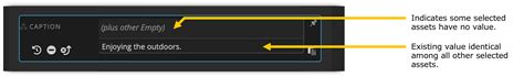 modify metadata on multiple assets knowledge base