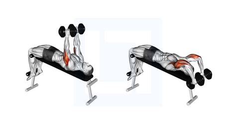 Dumbbell Incline Curl Guide Benefits And Form