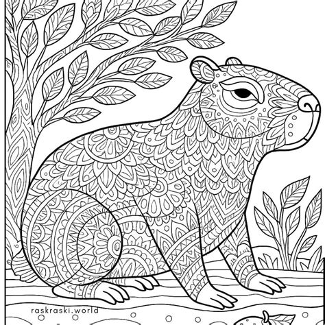 Раскраски Антистресс для детей и взрослых распечатать бесплатно А4 скачать для печати Раскраски