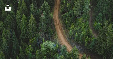 낮 동안 항공 사진에서 녹색 잎 나무 사이의 갈색 토양 경로 사진 Unsplash의 무료 자연 이미지