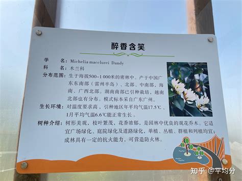 厦门山海步道科普长廊城市园林绿化植物篇2 知乎