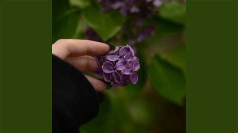 იავნანა Youtube