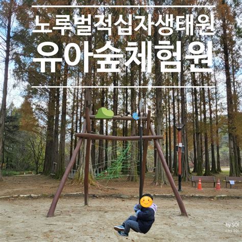 대전 가볼만한곳 노루벌적십자 생태원 유아숲체험원 솔직후기 네이버 블로그