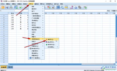 Spss怎么检验是否符合正态分布 Spss进行正态分布检验的方法教程 极光下载站