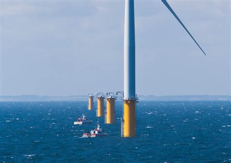 Minimizing The Environmental Impact Of Offshore Wind Farms Four Technological Innovations To