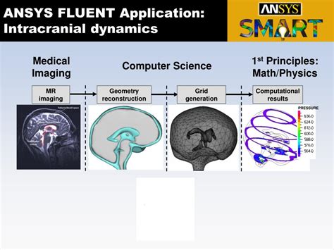 PPT ANSYS FLUENT For Brain Research Cranio Spinal System PowerPoint Presentation ID