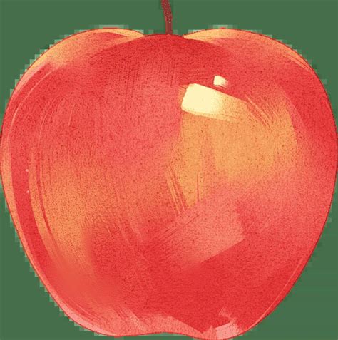 平安夜扁平噪点苹果插画 苹果 花瓣网