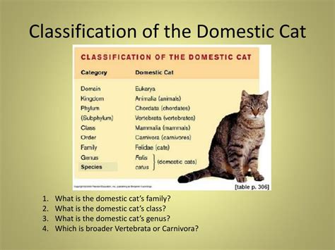 Ppt Classifying The Diversity Of Life Powerpoint Presentation Free Download Id2830451