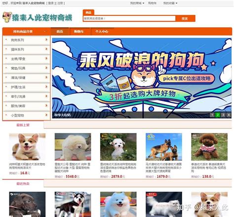 jsp ssm mysql实现的在线宠物商城系统源码附带视频运行教程 知乎
