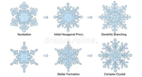 Diagram Illustrating Snowflake Formation It Shows Six Stages