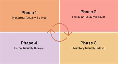 Cycle Syncing Align Your Diet With Your Menstrual Cycle Thrive Market