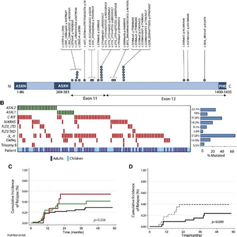 Pdf Frequent Asxl2 Mutations In Acute Myeloid Leukemia Patients With T821runx1 Runx1t1