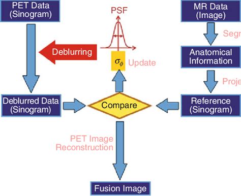 12 Iterative Fusion Algorithm The Anatomical Information Of Mri Data