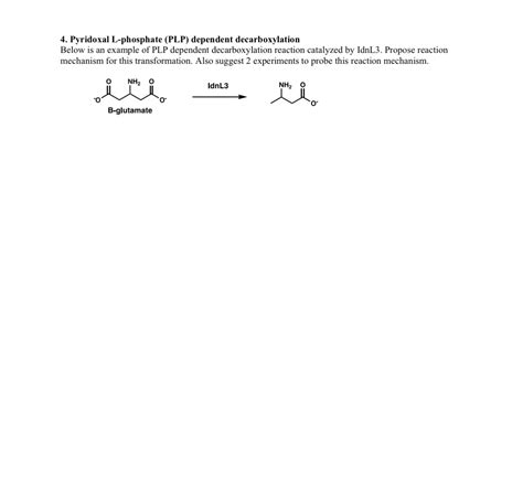 Pyridoxal L Phosphate Plp ﻿dependent