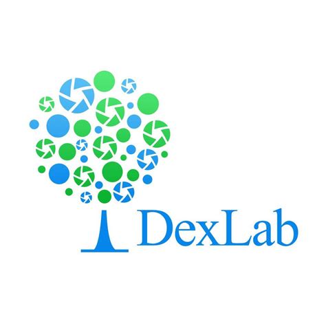 Dexlab Analytics Gurugram