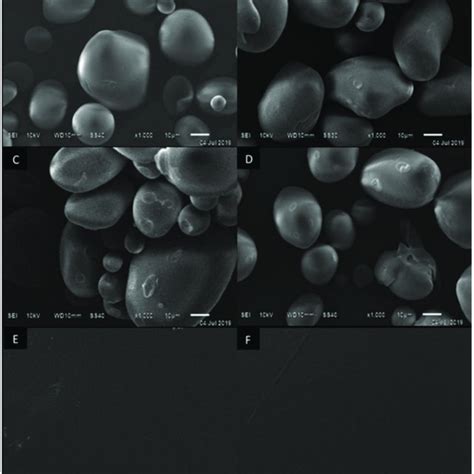 Pdf Combination Of Sorbitol And Glycerol As Plasticizers And Oxidized Starch Improves The