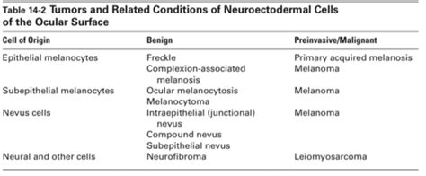 Tumors Of Neuroectodermal Origin Flashcards Quizlet