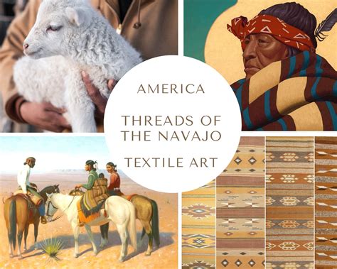 Navajo Churro Sheep And Wool 4 The Ethnic Home