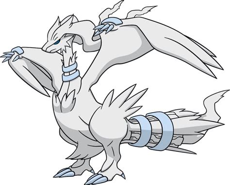 Reshiram Pokémon Wiki Fandom Dragon Type Pokemon Pokémon Black