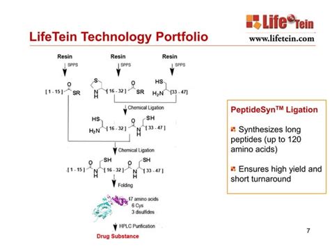 Custom Peptide Synthesis Services Pdf Chemistry Science