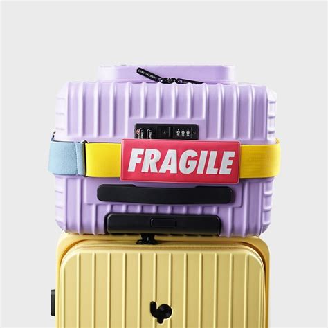 Fragile 고비욘드 엘라스틱 캐리어 벨트 감도 깊은 취향 셀렉트샵 29cm