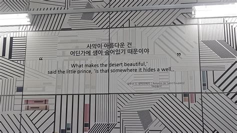 갑자기 어린왕자 글귀 보니까 사야의 노래 생각남 유머 게시판