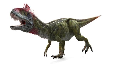 Facts About Cryolophosaurus And Its Discovery