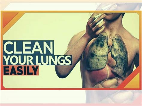 How To Keep Your Lungs Healthy 10 Tips To Naturally Detox Your Lungs