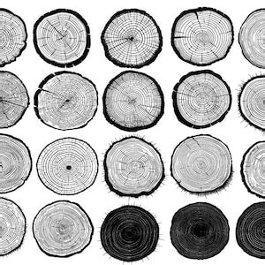 Tree Stump Svg Tree Stump Clipart Tree Stump Silhouette Tree Stump Cut Files Cricut Tree