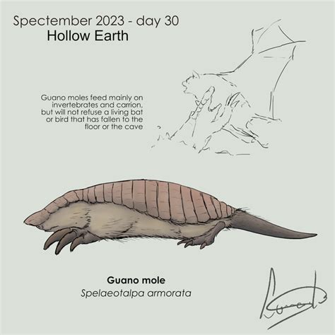 Some Critters From A Seed World Project Im Doing R