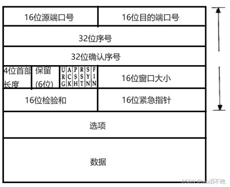 网络原理2——tcp协议（传输层）tcp包头结构中哪个字段可以携带ucs2内容 Csdn博客