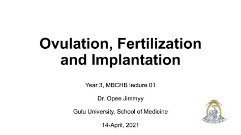 Ovulationfertilization And Implantation Ovulation Fertilization And