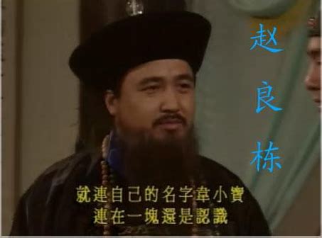赵良栋是谁平定三藩之乱的功臣 51区未解之谜网
