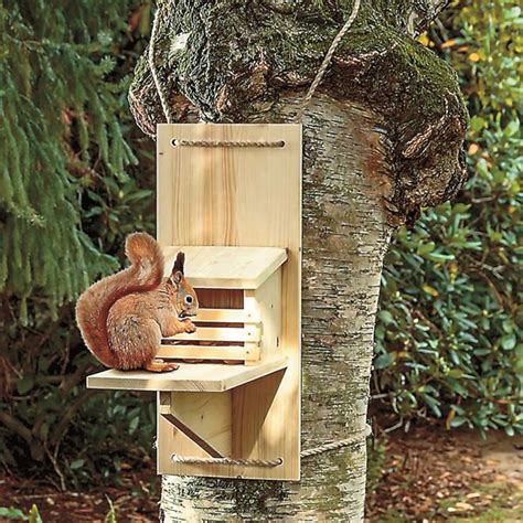 НАПРАВИ СИ САМ Хранилка за катерици Български Фермер