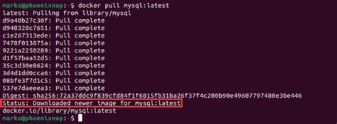How To Update Docker Image And Container Phoenixnap Kb