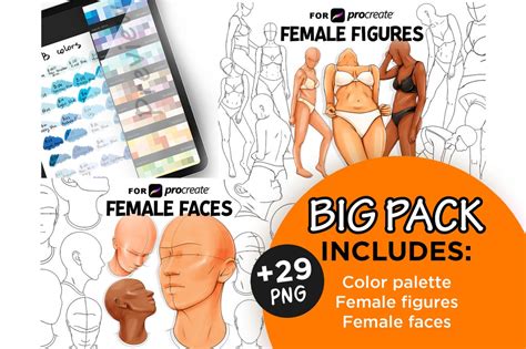 Procreate Body Stamps Procreate Female Figures Stamp Procreate Face Stamp Procreate Female