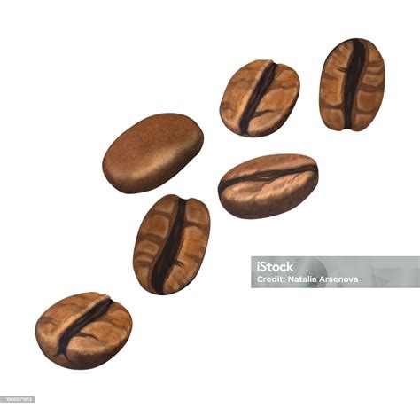 수채화 신선한 볶은 갈색 커피 원두 세트 흰색 배경에 분리된 자연스러운 손으로 그린 그림 완벽한 음식 메뉴 카페 컨셉 레스토랑